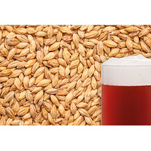 Brewcraft Home Brew Supplies South Australia (SA)