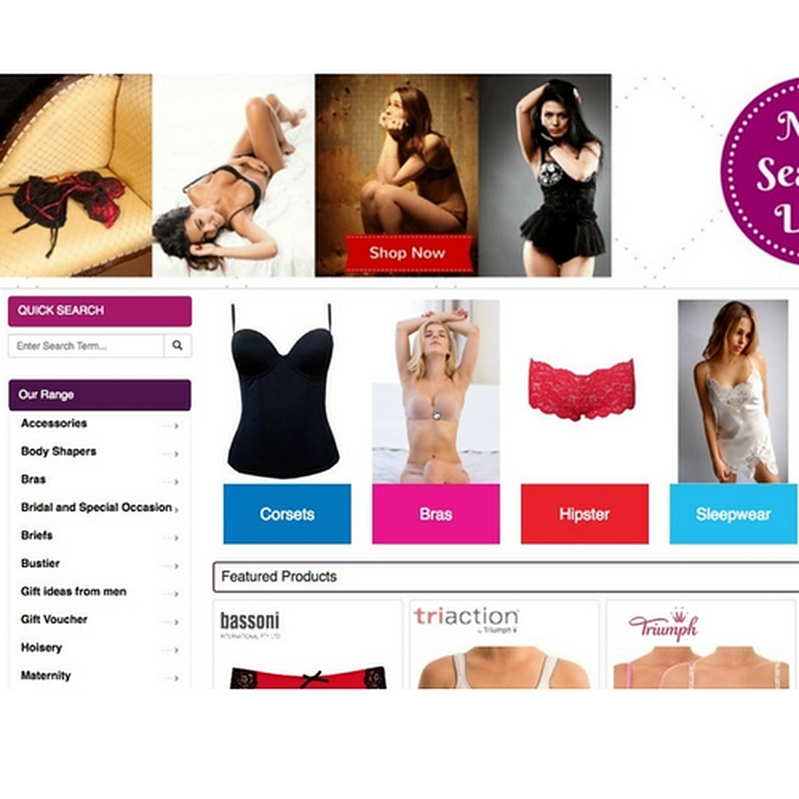 Home Page Components - Three or Four Vertical Panels to Highlight Main Areas